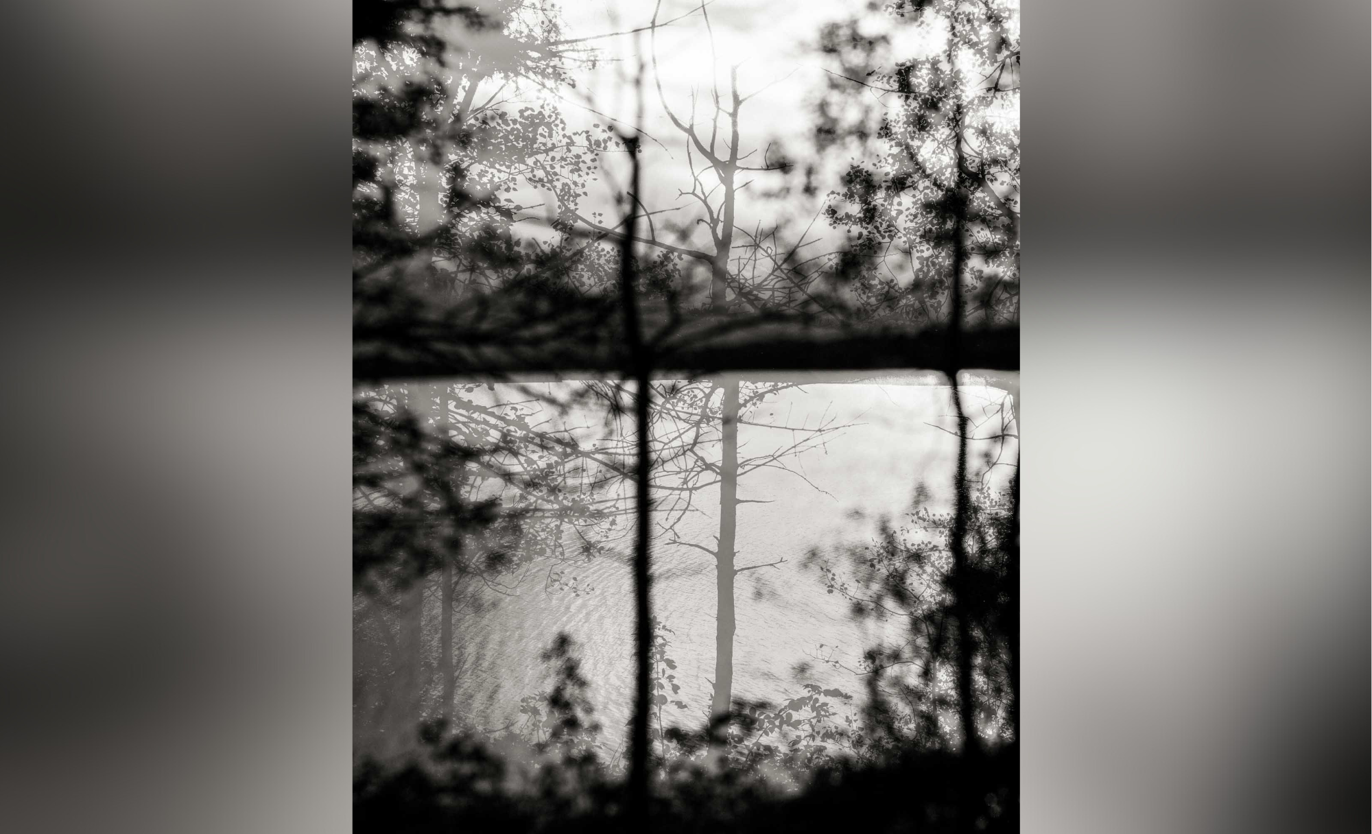 Poems From Home: Writer and photographer Cate Wnek - The Harpswell Anchor