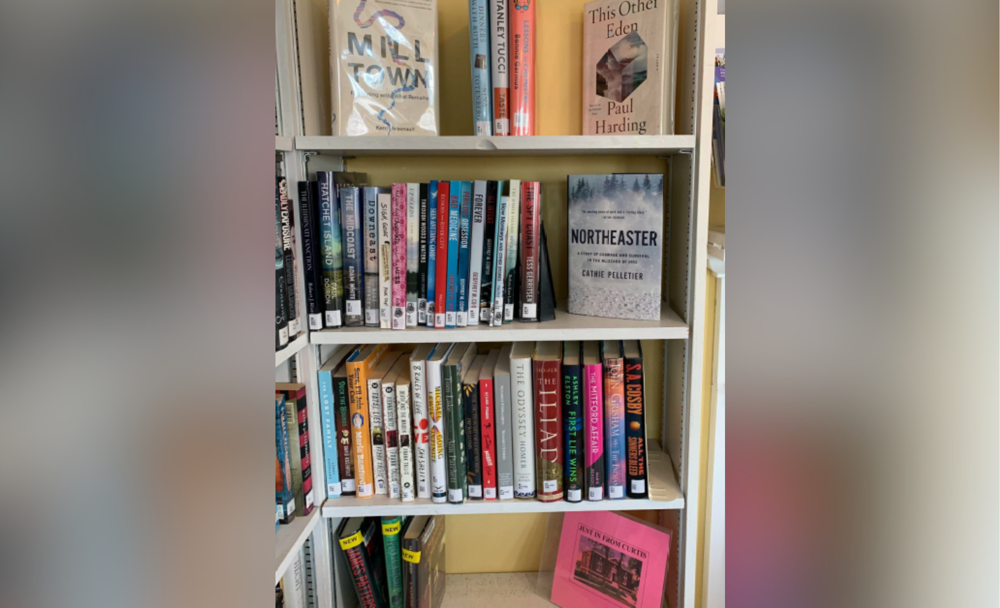 Library Connections: Books make connections - The Harpswell Anchor