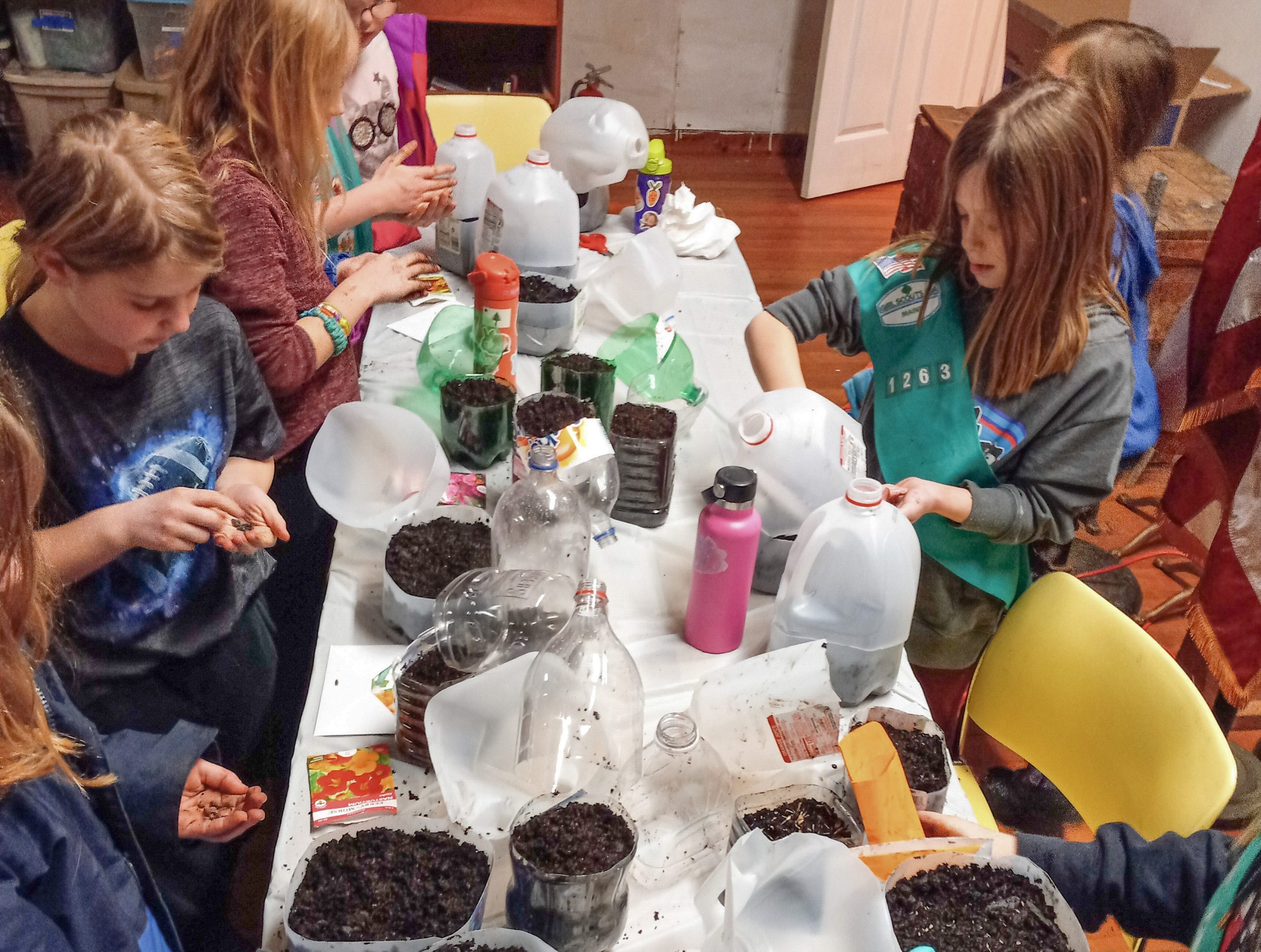 Library Connections: Belonging - The Harpswell Anchor