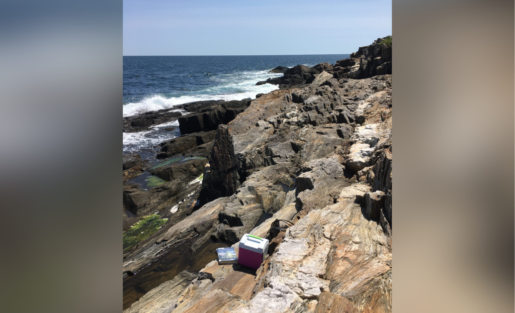Library Connections: Beach reads - The Harpswell Anchor