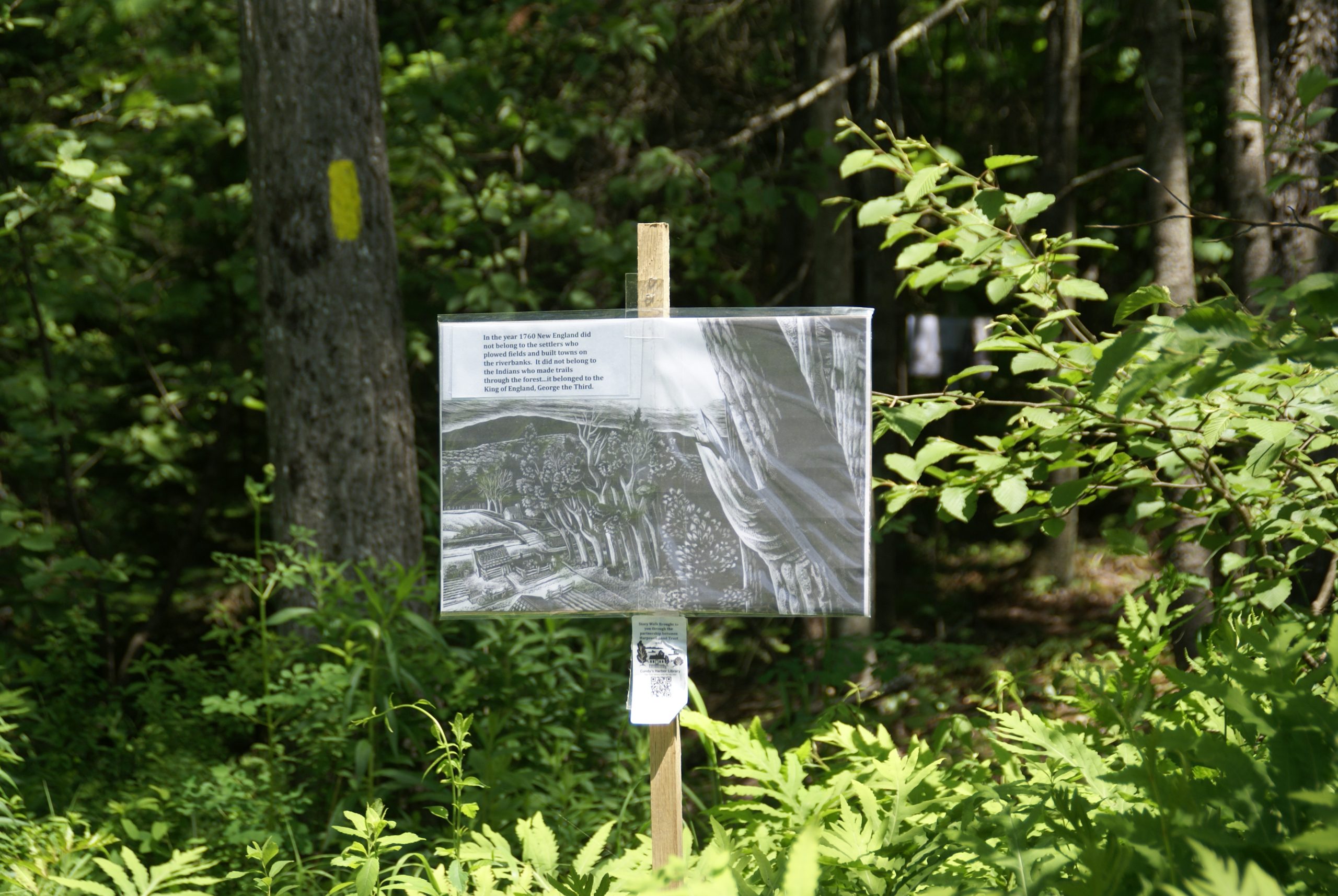 Library Connections: Summer in the harbor - The Harpswell Anchor